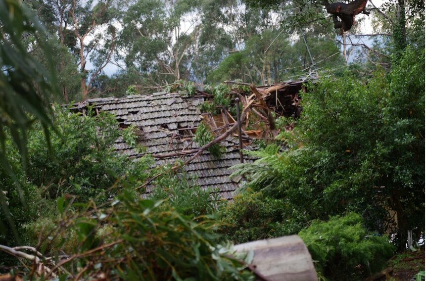 ASIC tips for managing after a natural disaster - ABC Melbourne