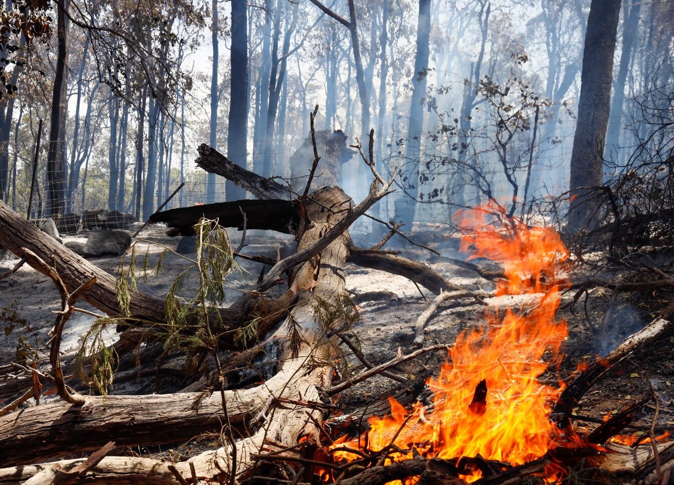 Bushfires destroy homes in WA - ABC listen