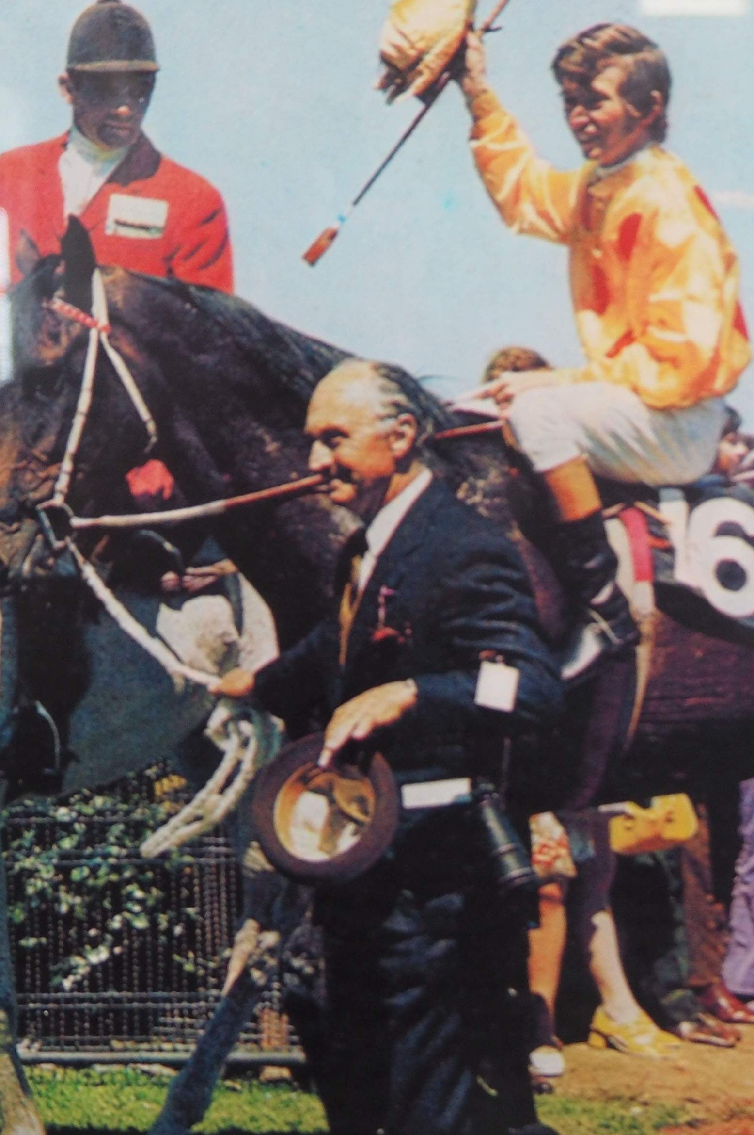 Jockey John Letts recalls the time his life was saved at the Royal ...
