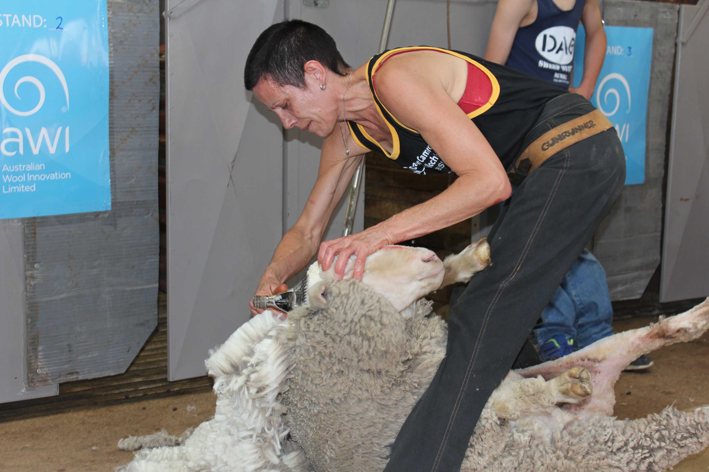 Young women encouraged to take up careers in the wool industry - ABC News