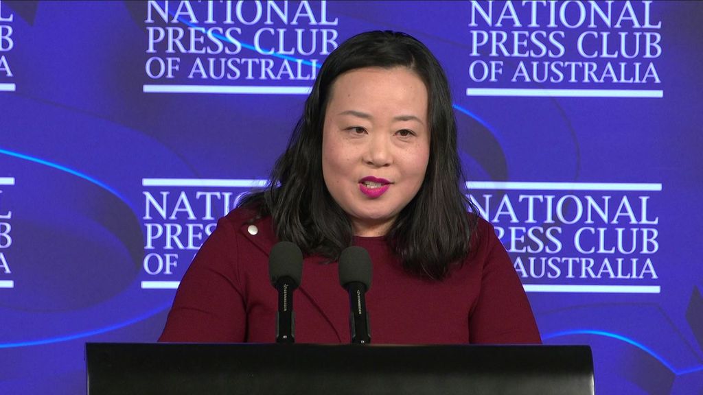 Canberra Liberals leader Elizabeth Lee addresses the National Press ...