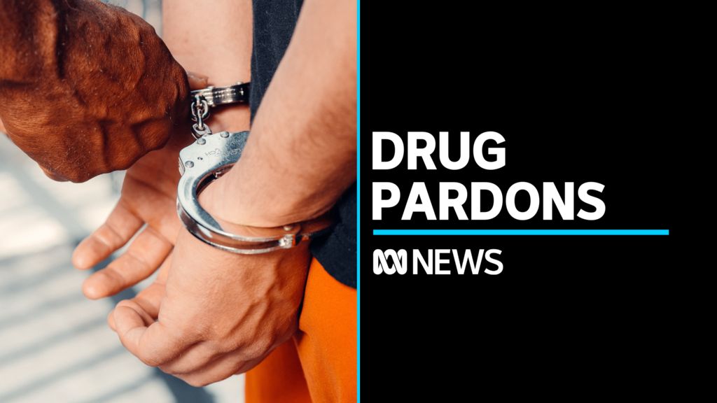 Law decriminalising illegal drugs could lead to pardons - ABC News