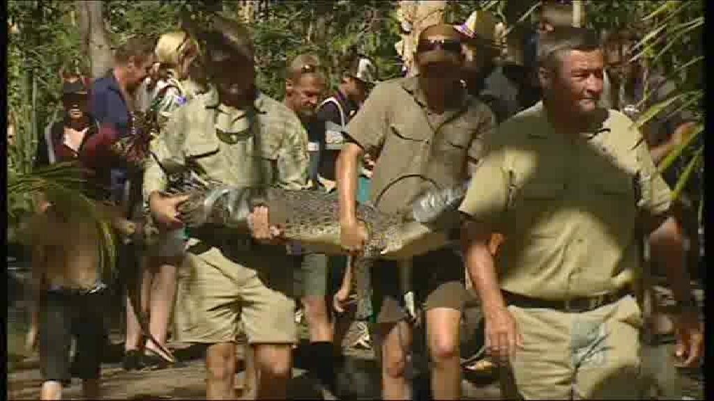 Crocodile control - ABC News