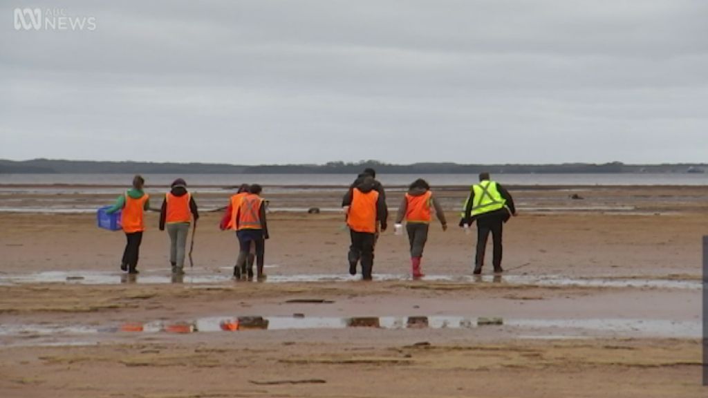 Poisoned river serves as cautionary tale for future - ABC News