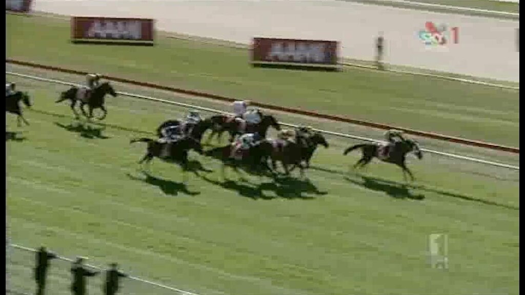 CPR slams Carrathool Races organiser for allowing meet to go ahead in ...