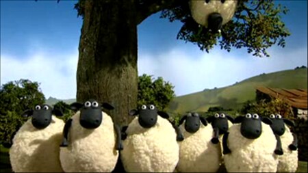 Shaun The Sheep Video Clips | Shaun The Sheep - ABC Kids