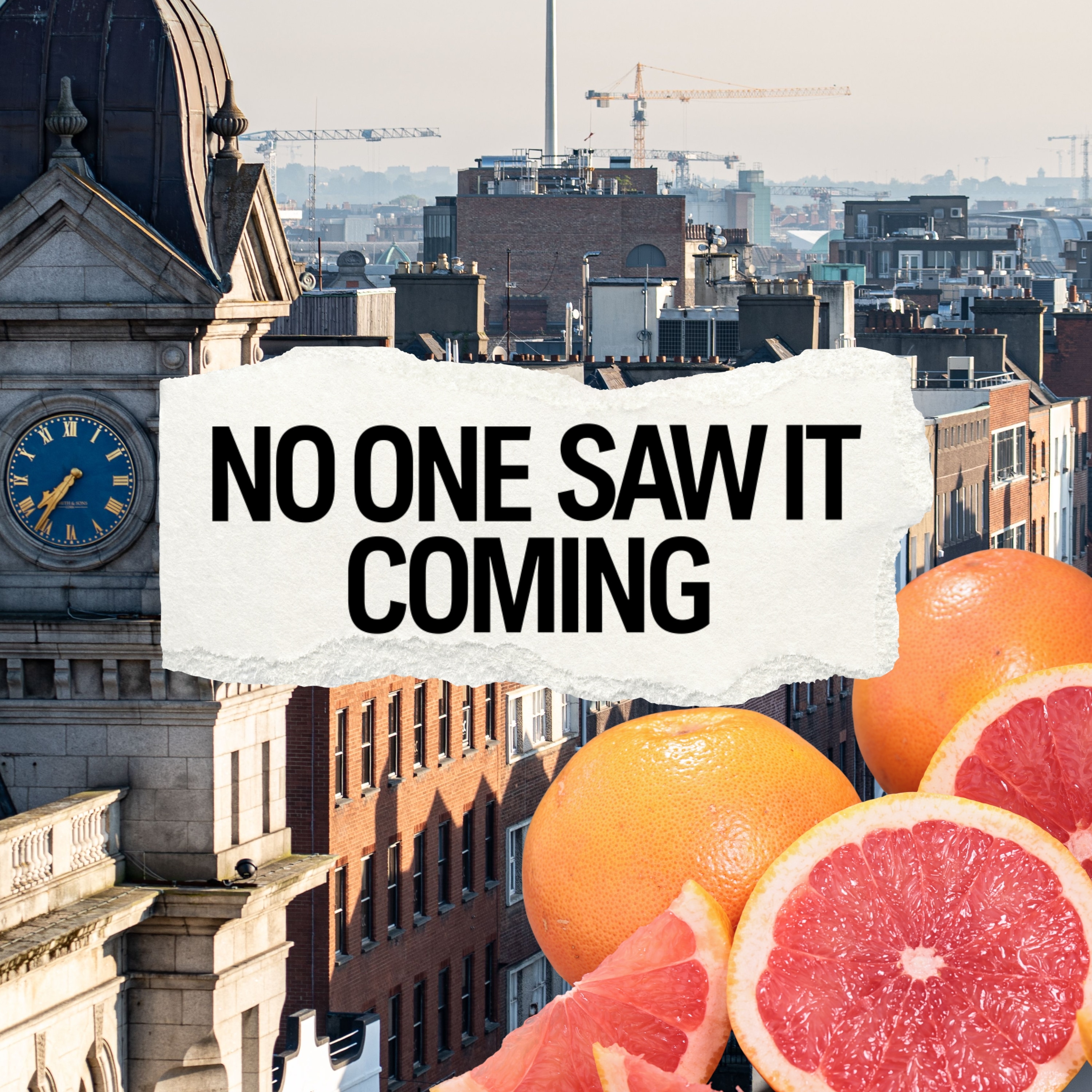 Grapefruits vs Apartheid - ABC listen