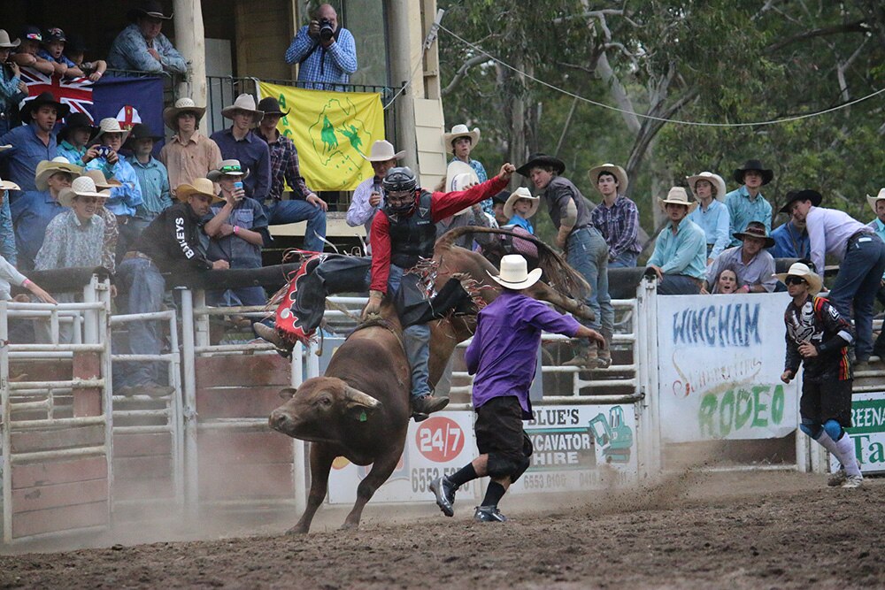 Record crowd at Wingham Summertime Rodeo in New South Wales - ABC News