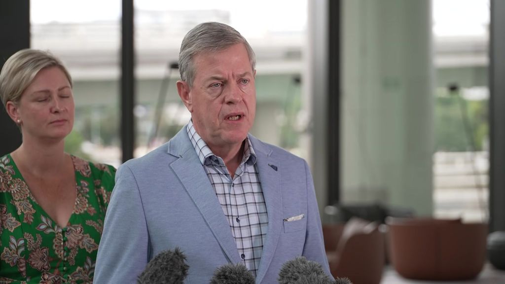 Health Minister Tim Nicholls on criminal gangs - ABC News