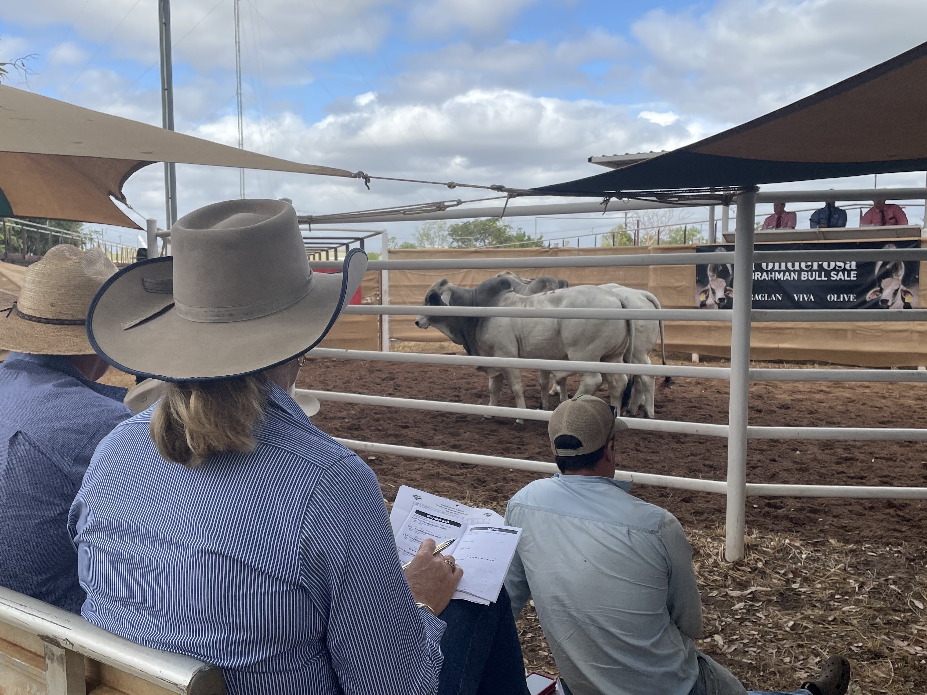 NT Country Hour - ABC listen