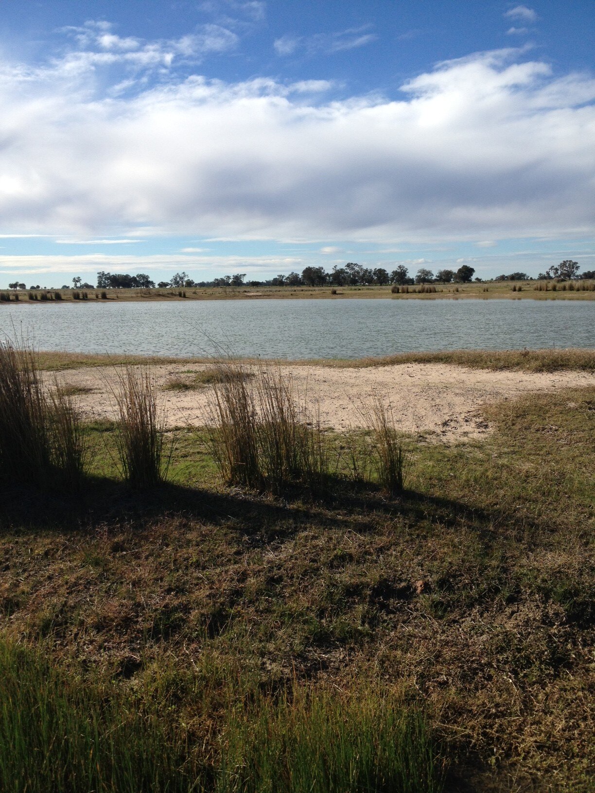 Slow progress for Riverina stock pipeline - ABC News