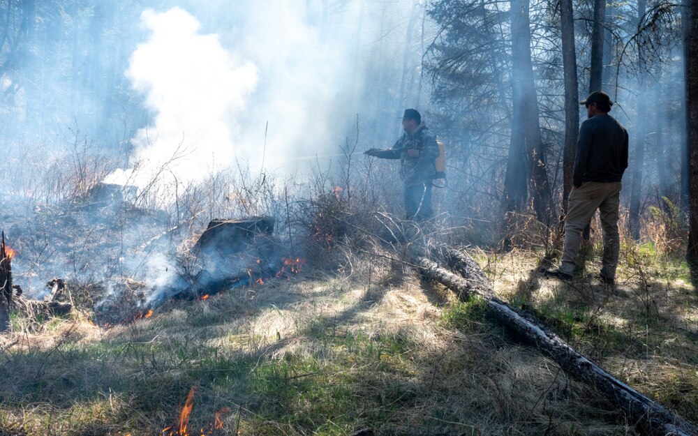 Indigenous fire knowledge the latest Australian export in an emerging ...