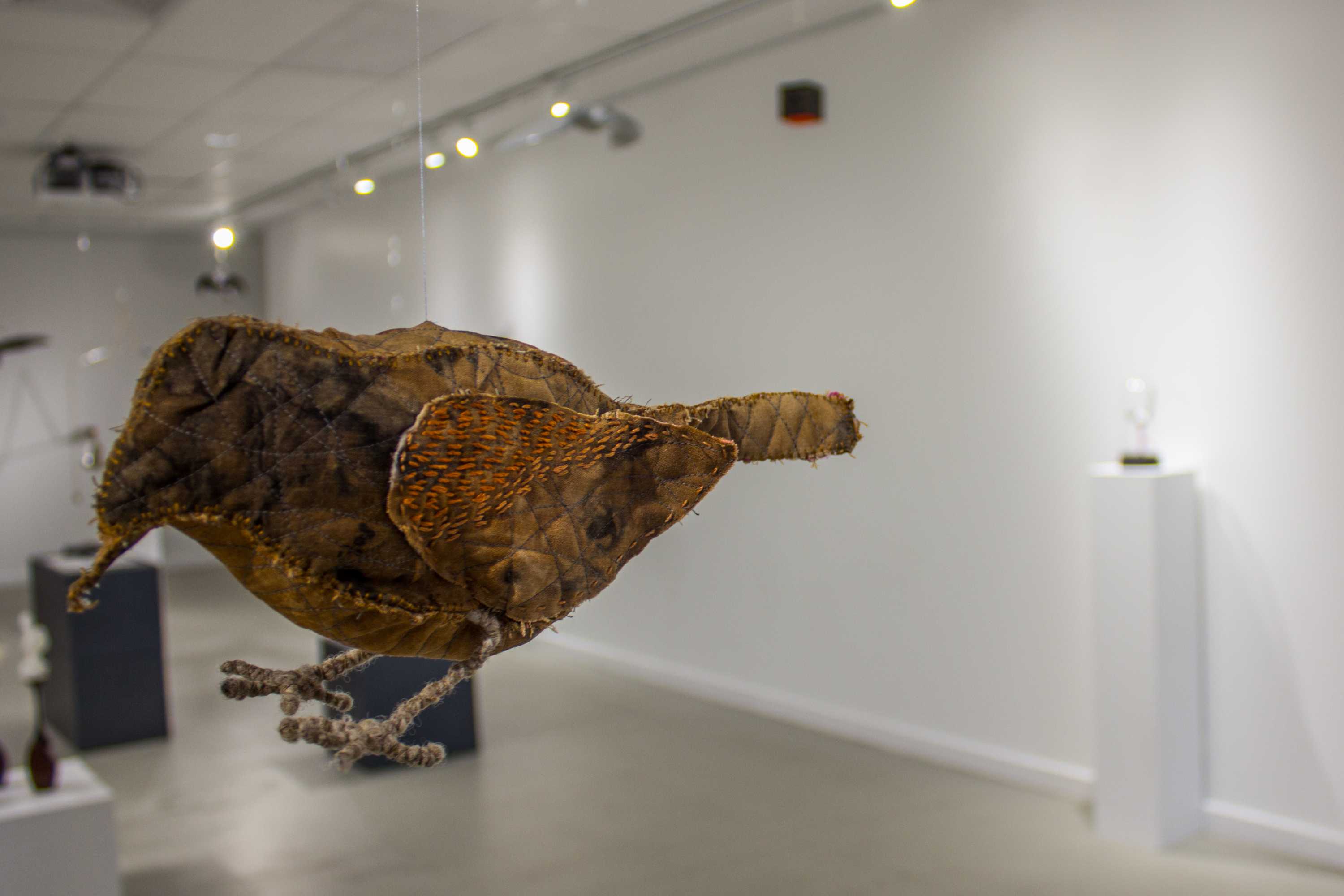 The art of endangered birds: Perth exhibition highlights threatened ...