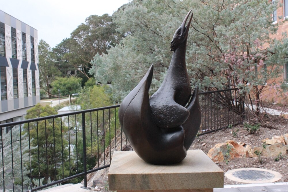 Body bequest: human bodies still provide the best medical training for ...