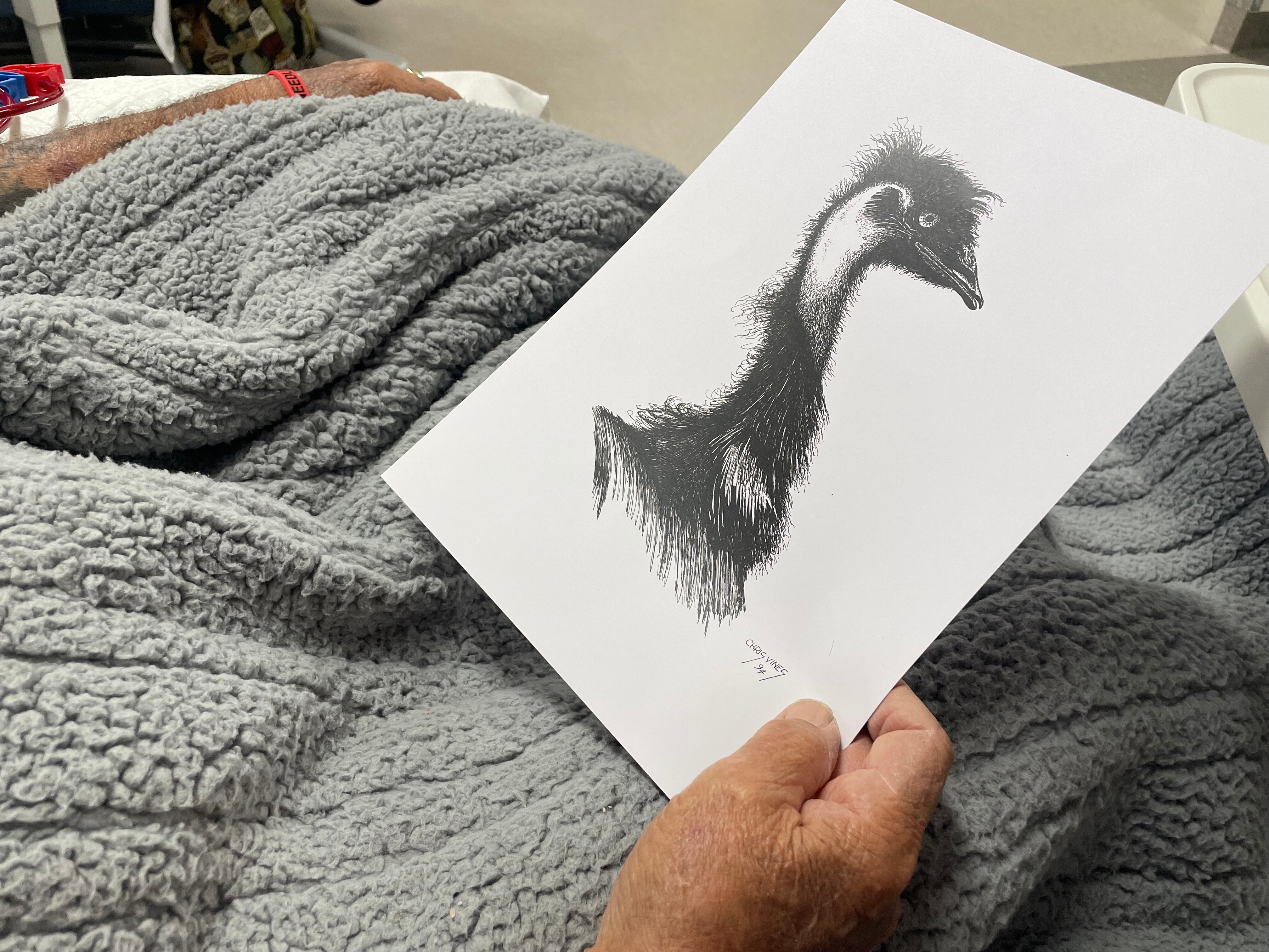 Vision-impaired artist's drawings brighten hospital ward - ABC News