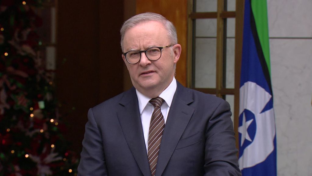 Anthony Albanese speaks about the social media ban passed by Parliament ...