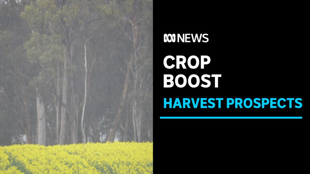 WA - Location - ABC News