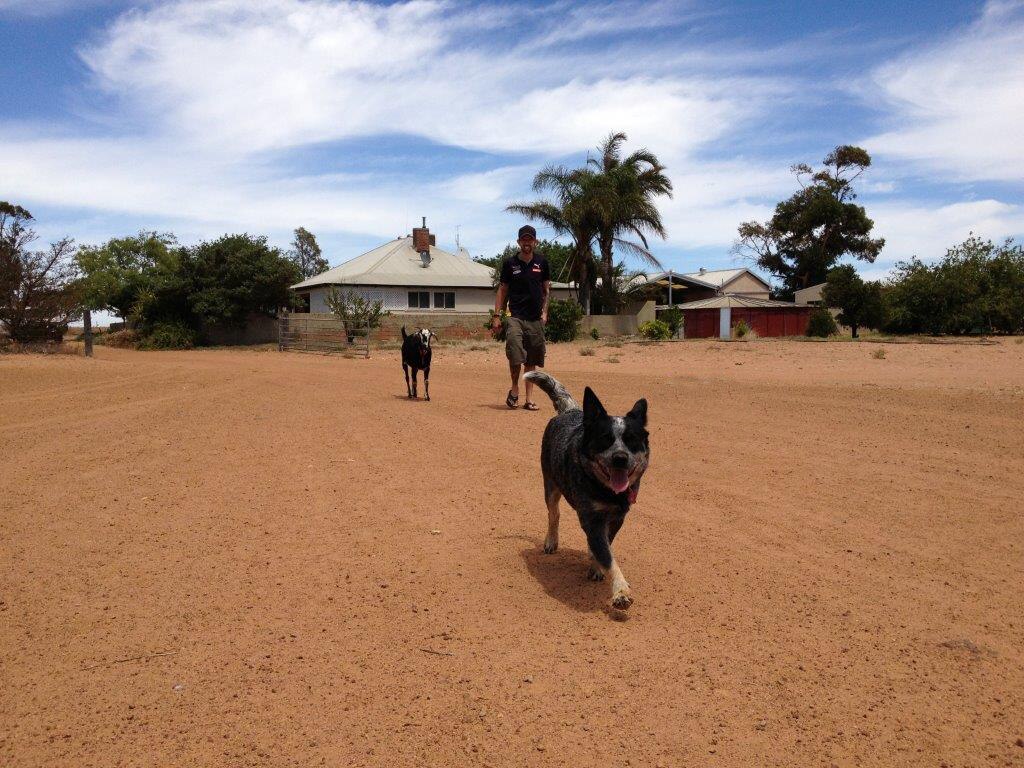 Binnu - 6532 - Location - ABC News