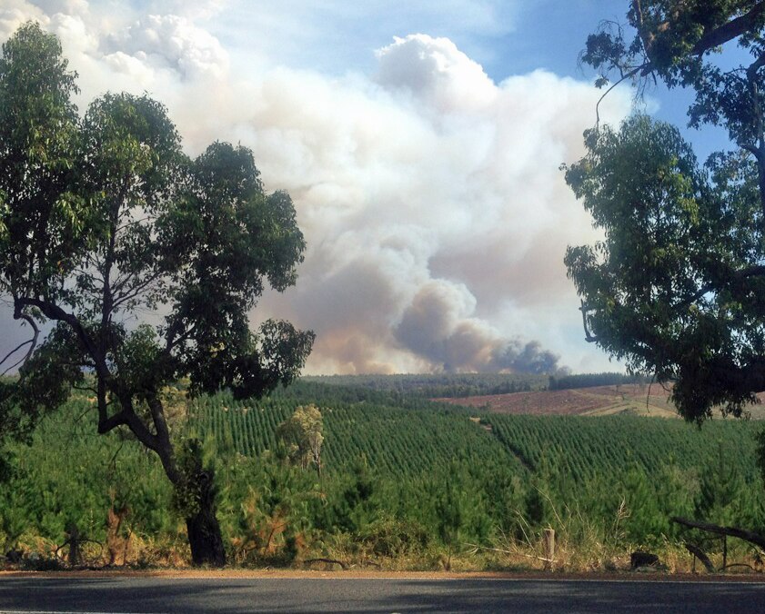 Bushfire warning for the south-west downgraded - ABC News