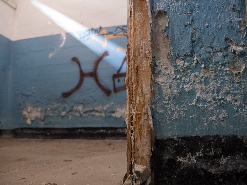 Water-damaged, graffitied Prospect Air Raid Shelter to reopen ahead of ...