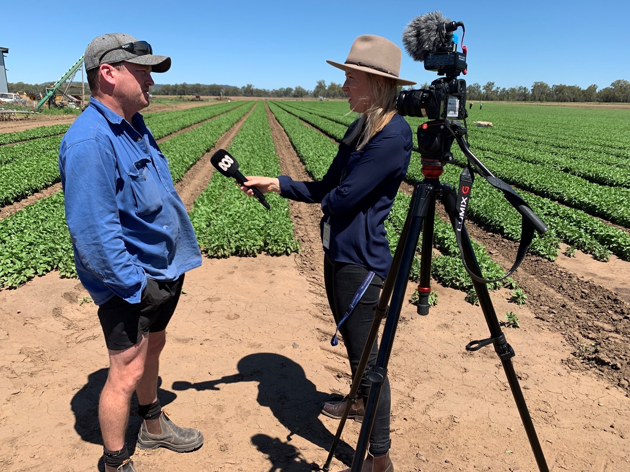 ABC to hire over 50 regional journalists across more than 20 'news ...