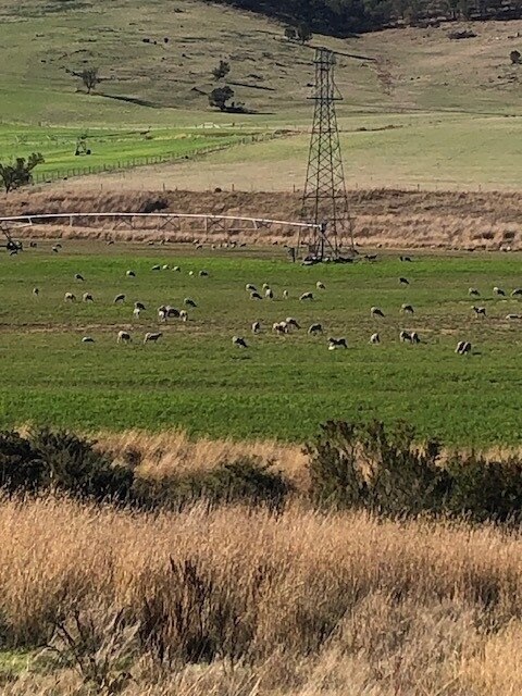 Tasmanian Country Hour - ABC listen