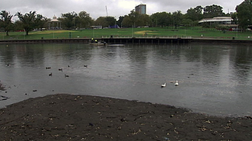 Rain tops up Torrens by 50cm - ABC News