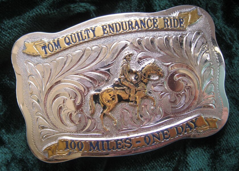 Buckle Up - ABC News