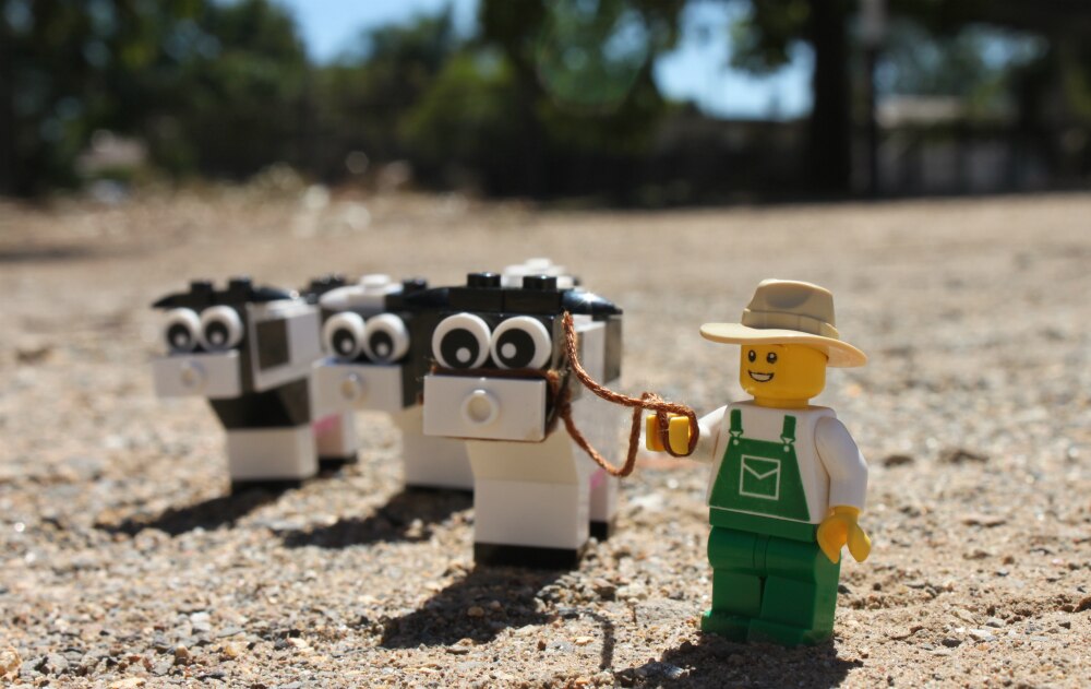 How Lego and the farm came together to inspire a new generation about ...