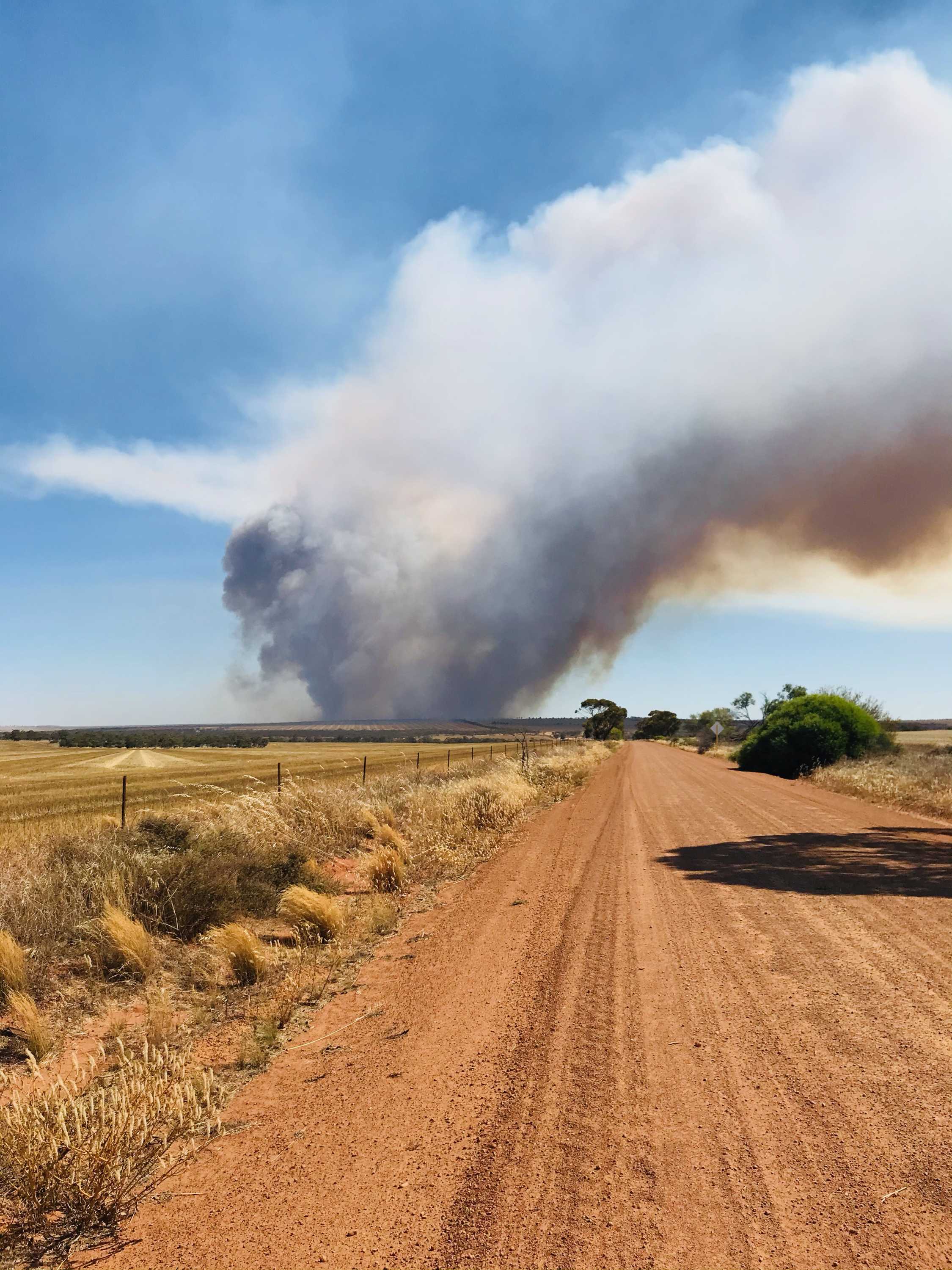 Farmland fire near Geraldton destroys close to $1 million of crop just ...