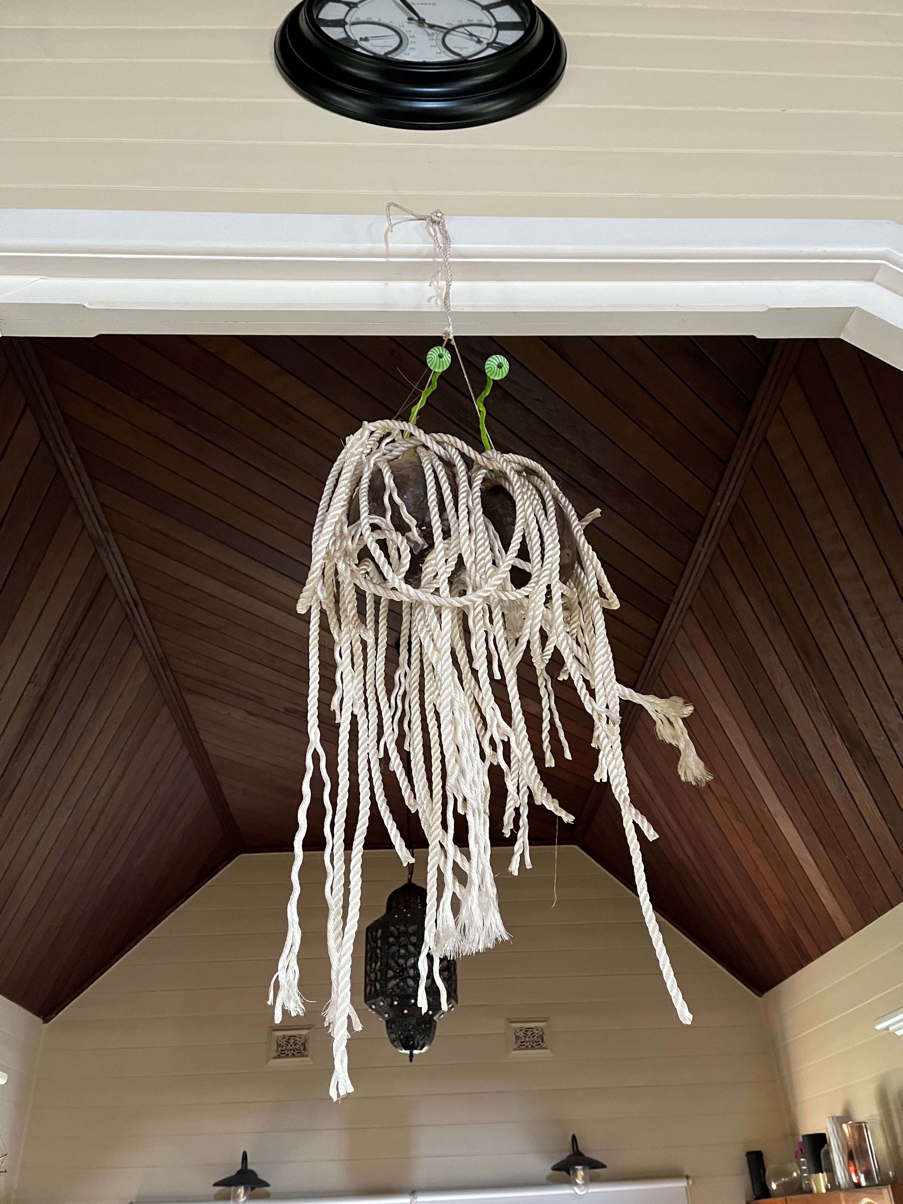 Australia's only Church of the Flying Spaghetti Monster brings visitors ...