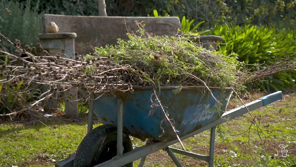 Weeds and Waste to Work - Gardening Australia