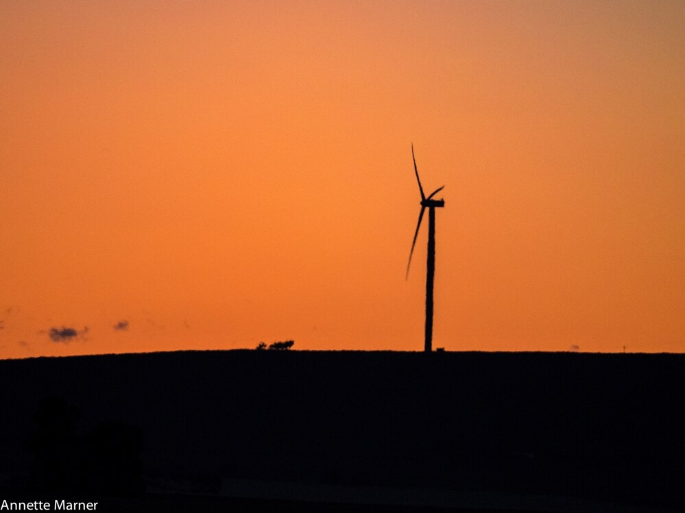 Tom Rohde - ABC News