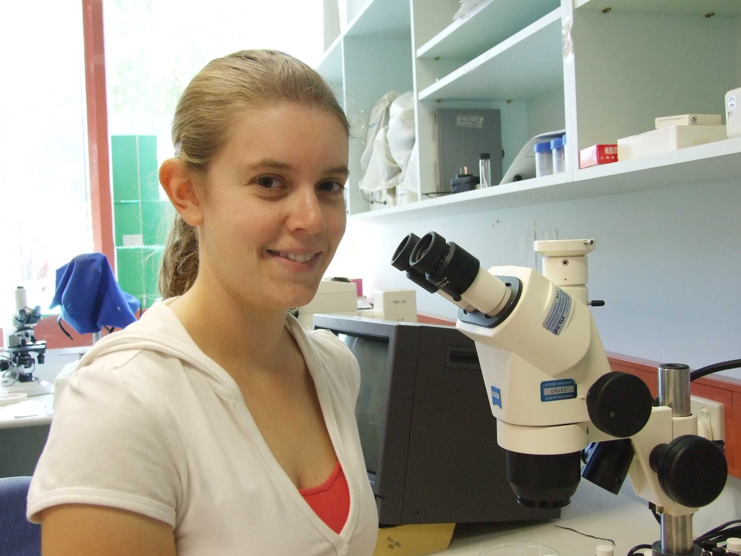 The key role of fungi in forest ecology - ABC listen