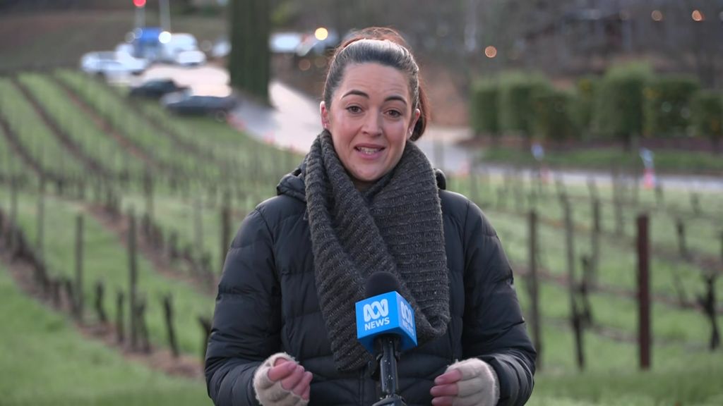 Reporter Erin Somerville on the ground in Porepunkah - ABC News