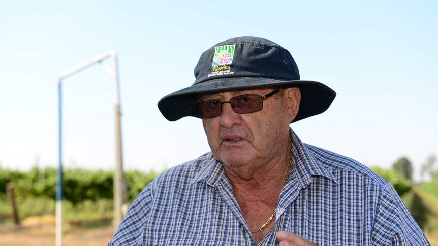 Riverina Mayor John Dal Broi nervously awaits heatwave - ABC News Riverina Mayor John Dal Broi nervously awaits heatwave - ABC News