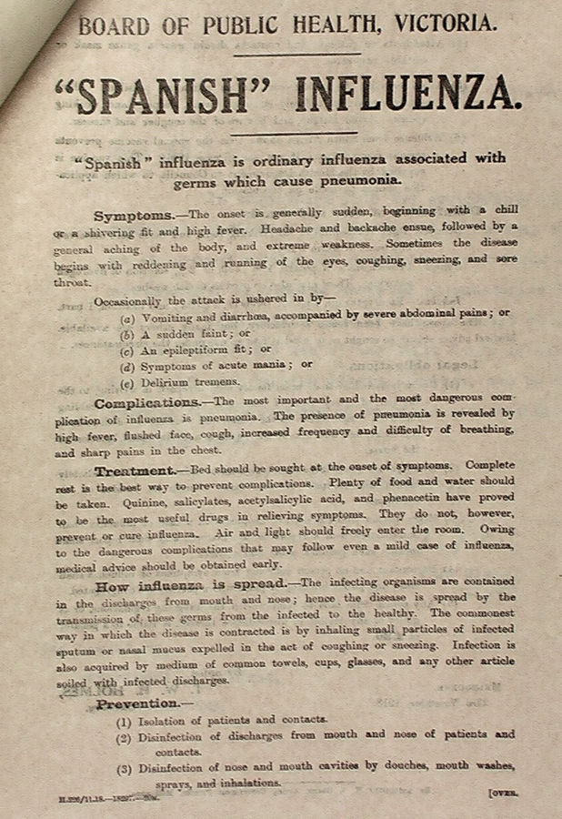 The 1918 influenza pandemic affected the whole world. Could it happen ...