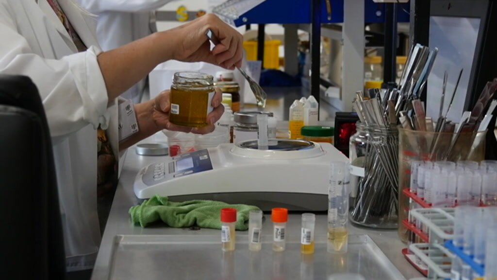 Capilano, Australia's biggest honey producer, and supermarkets accused ...