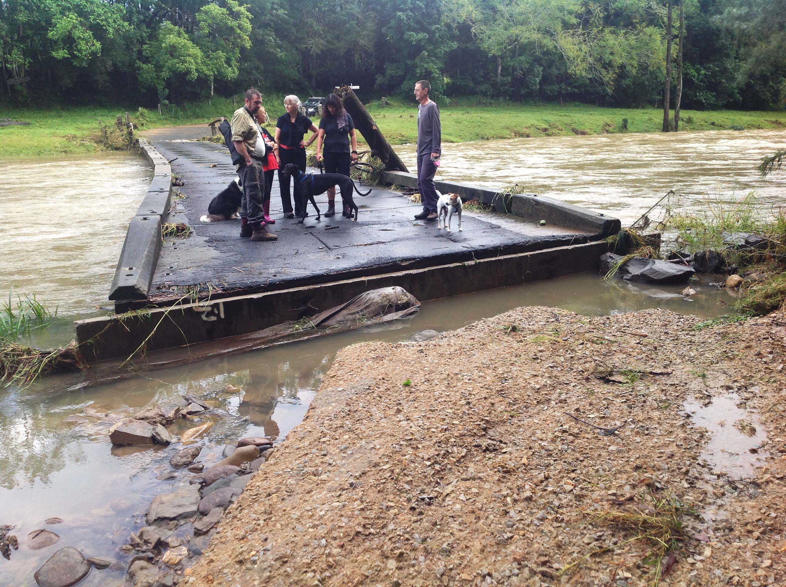 Bridge timber theft sparks appeal from Bellingen council - ABC News