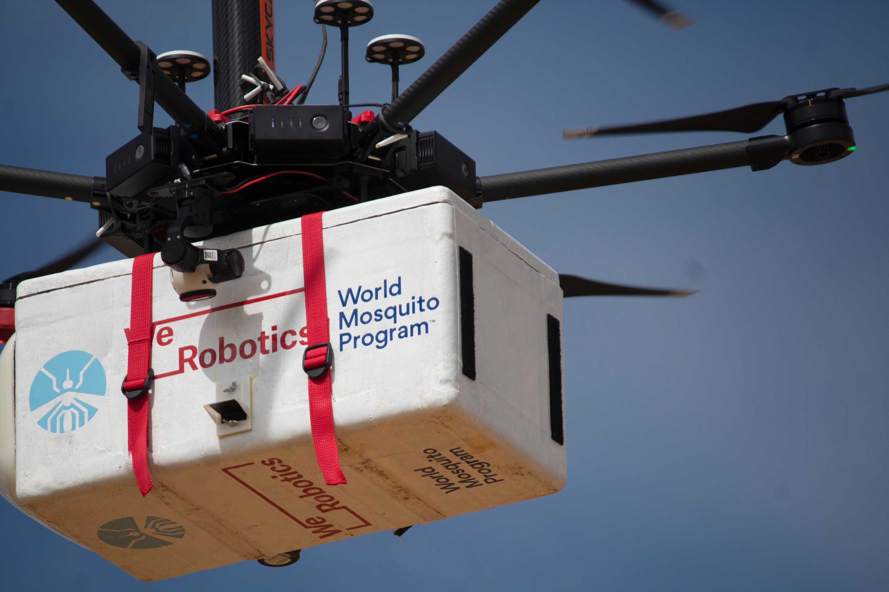 Drones fight mosquitoes in the air over Fiji - ABC Pacific