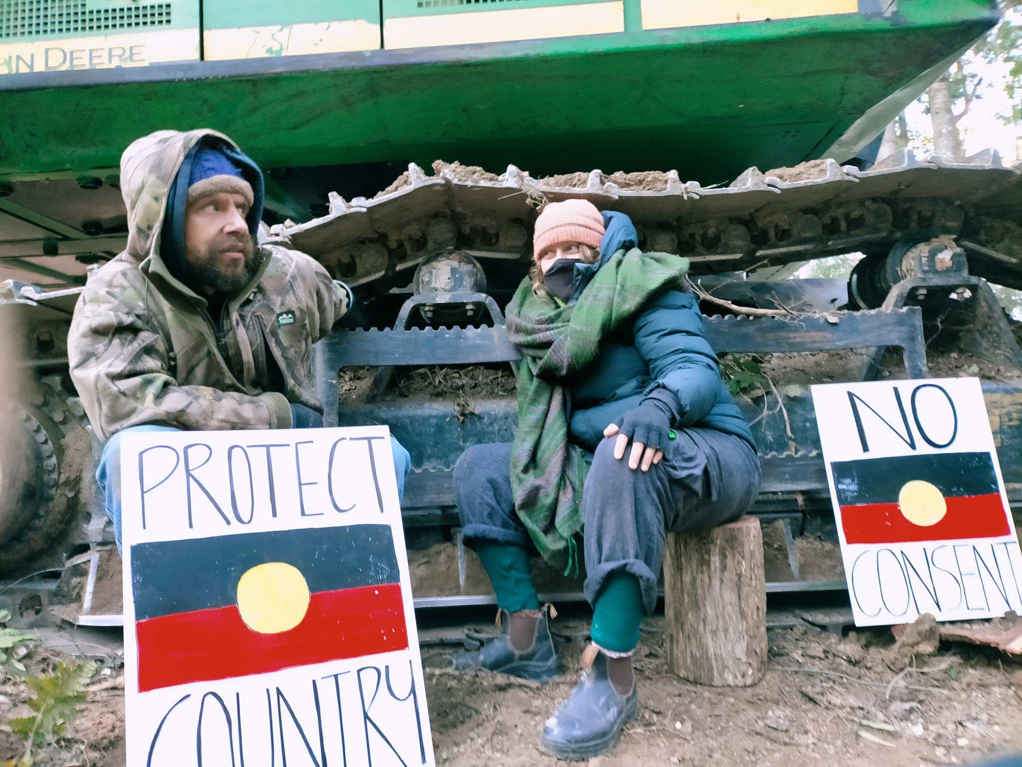 Anti-logging protesters sentenced despite highlighting breaches in ...