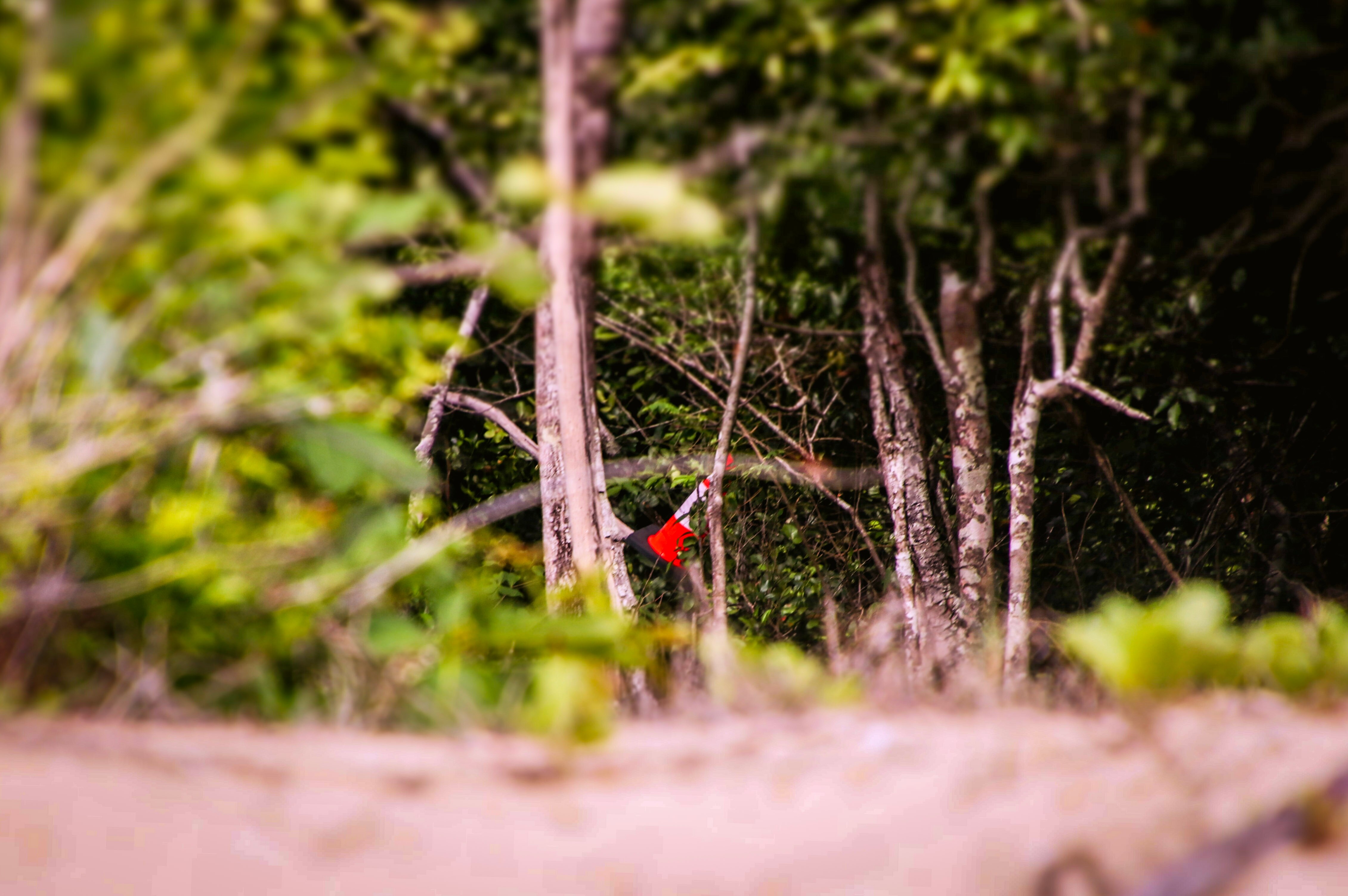 Jury in trial of Rajwinder Singh, charged with murder of Toyah ...