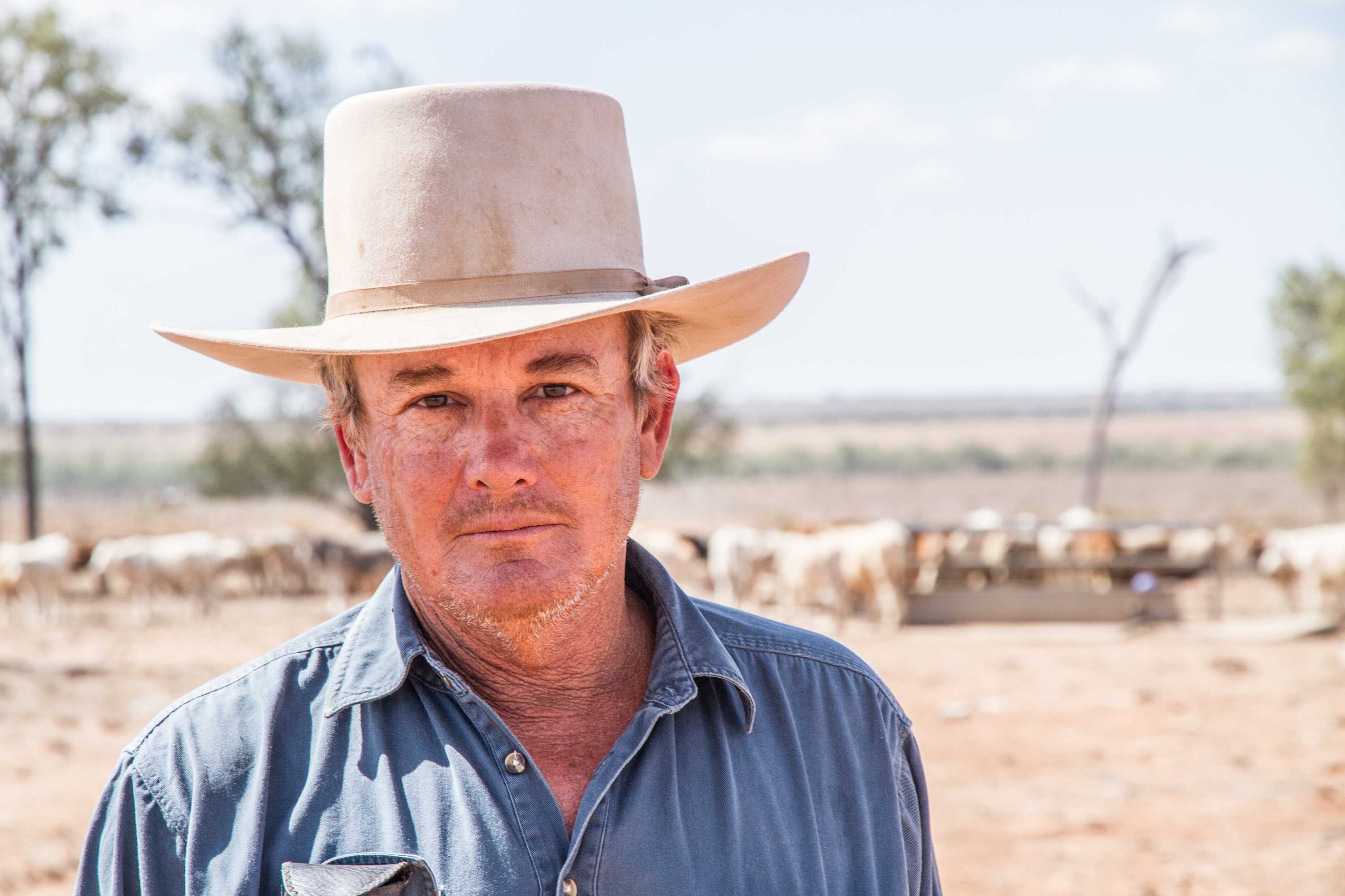 Beef competition proving carcase quality remains high despite ...