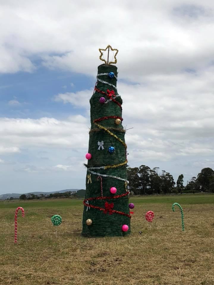 Seven Australians rethinking Christmas tree traditions - ABC News