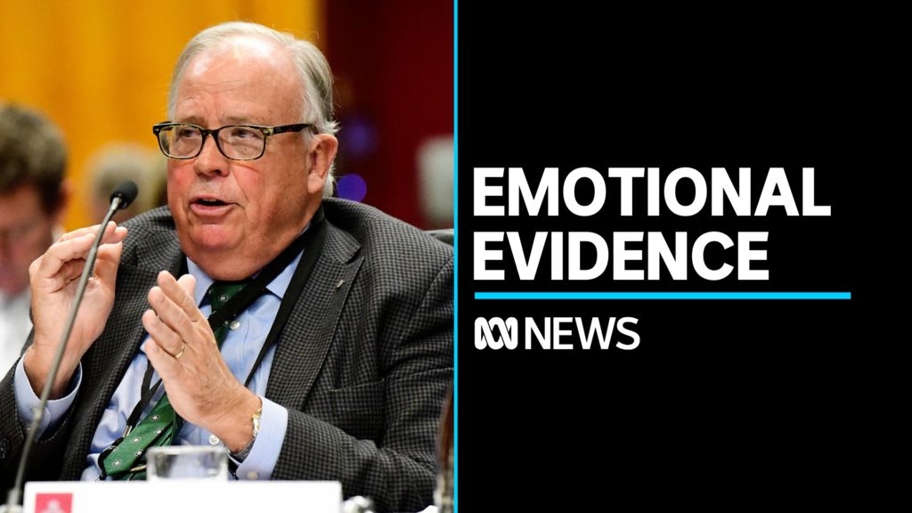 NSW building commissioner tears up over developer pressure - ABC News