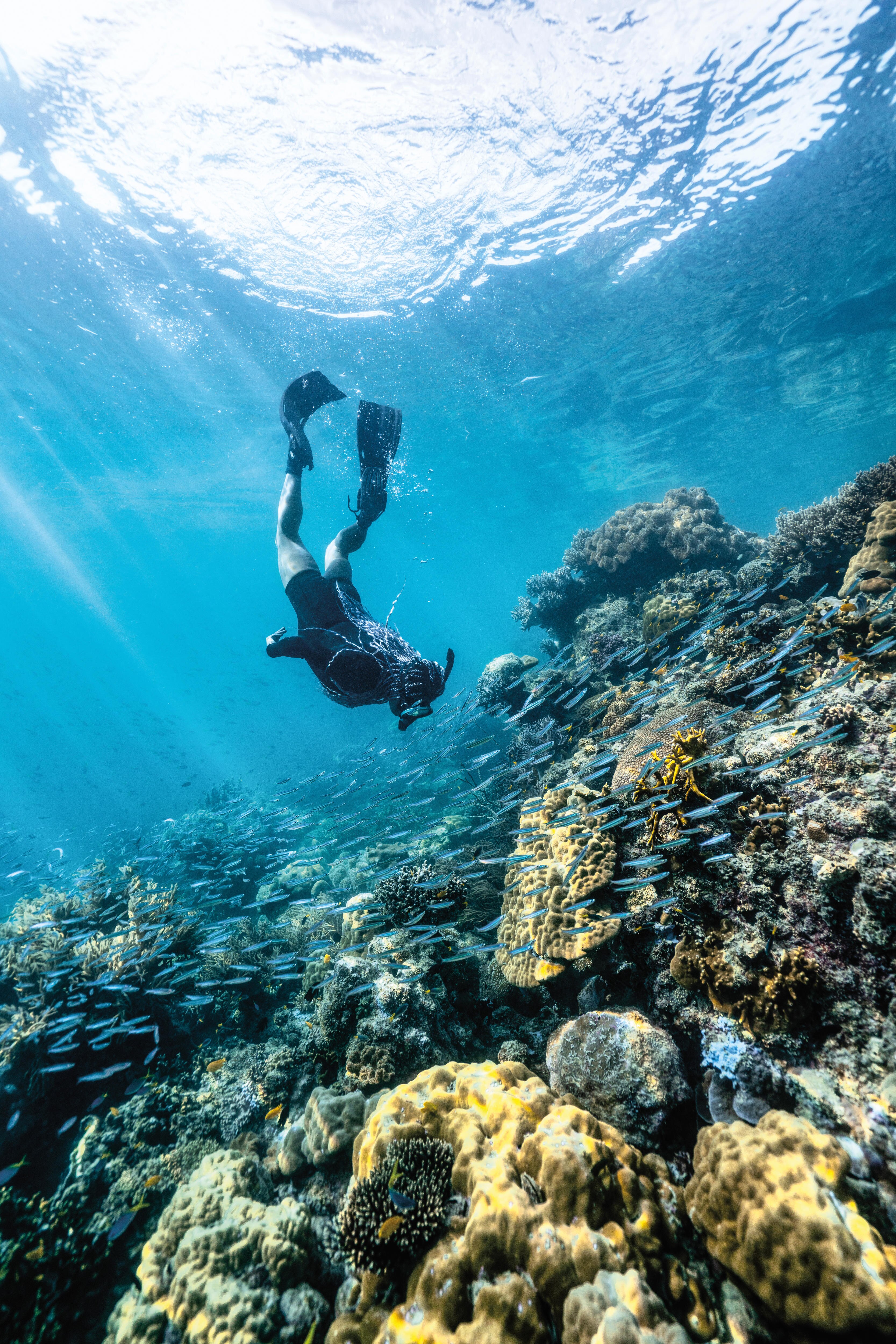 On Knife’s Edge: 25 Years on from 'Corroboree 2000' - ABC listen