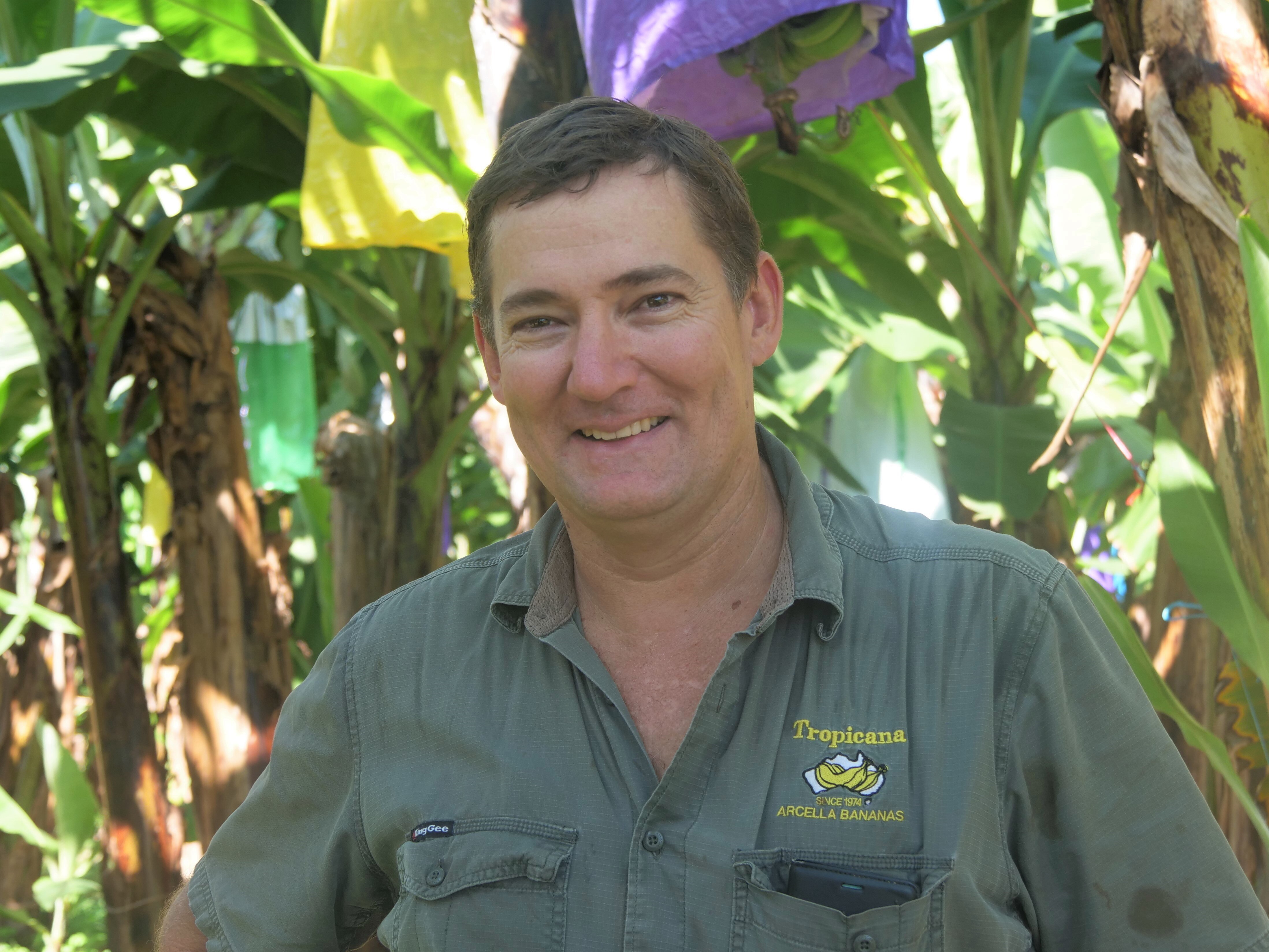 Green ants drive away birds, bugs giving fruit farmers…