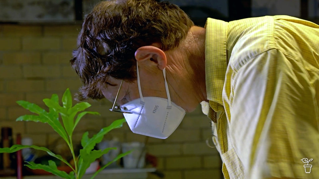 2025 | SERIES 36 | Episode 33 - Gardening Australia
