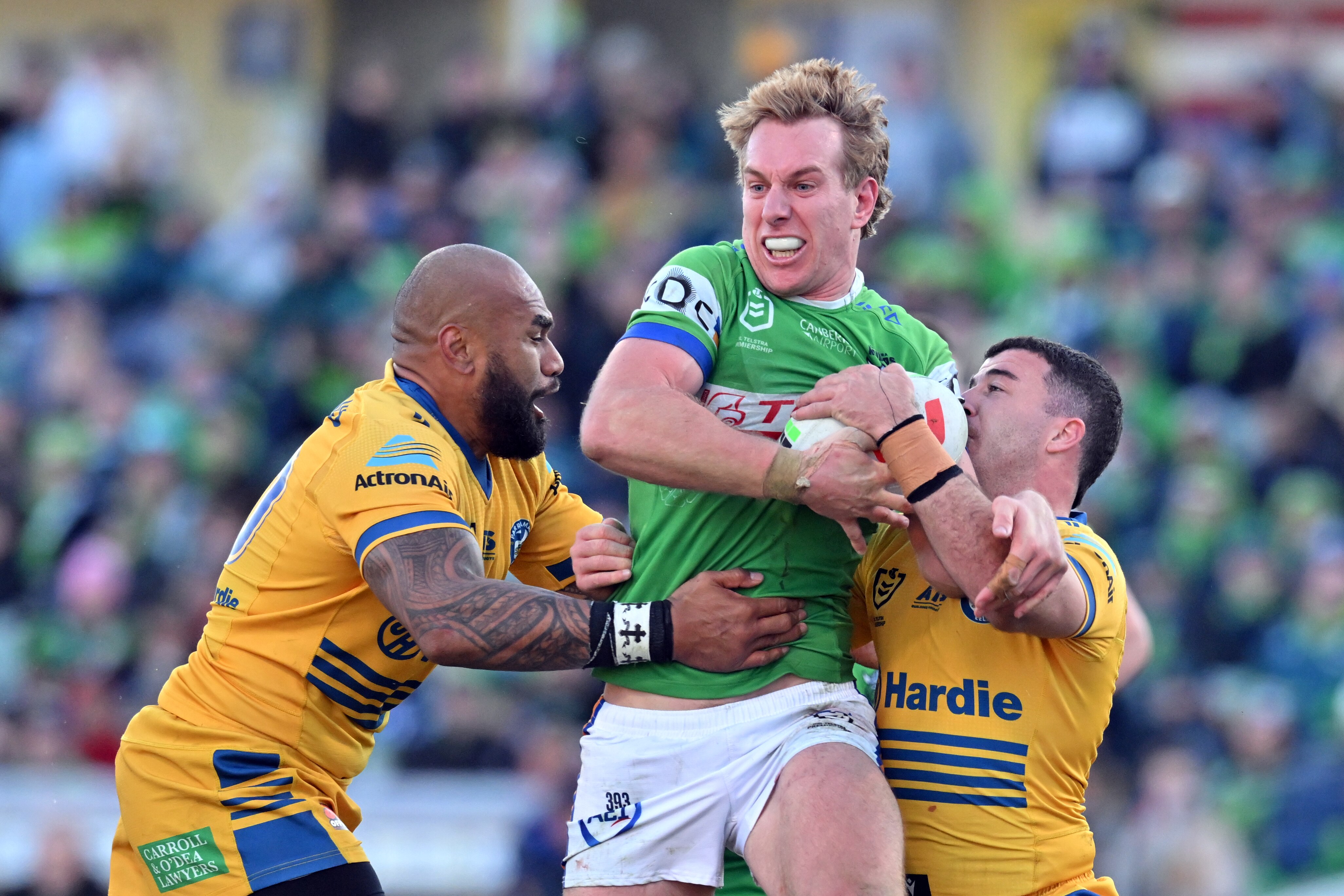 ABC NRL Daily with Andrew Moore and Brett Sprigg and Zane Bojack - ABC ...