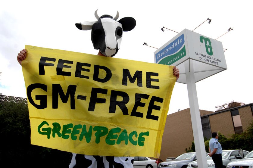 The baseless campaign against GM food - ABC News
